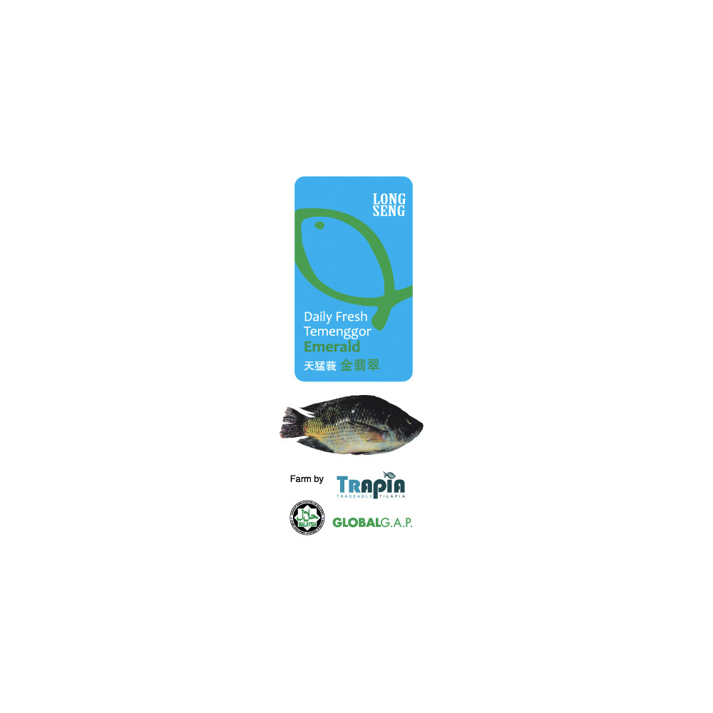 Temenggor Emerald – Long Seng