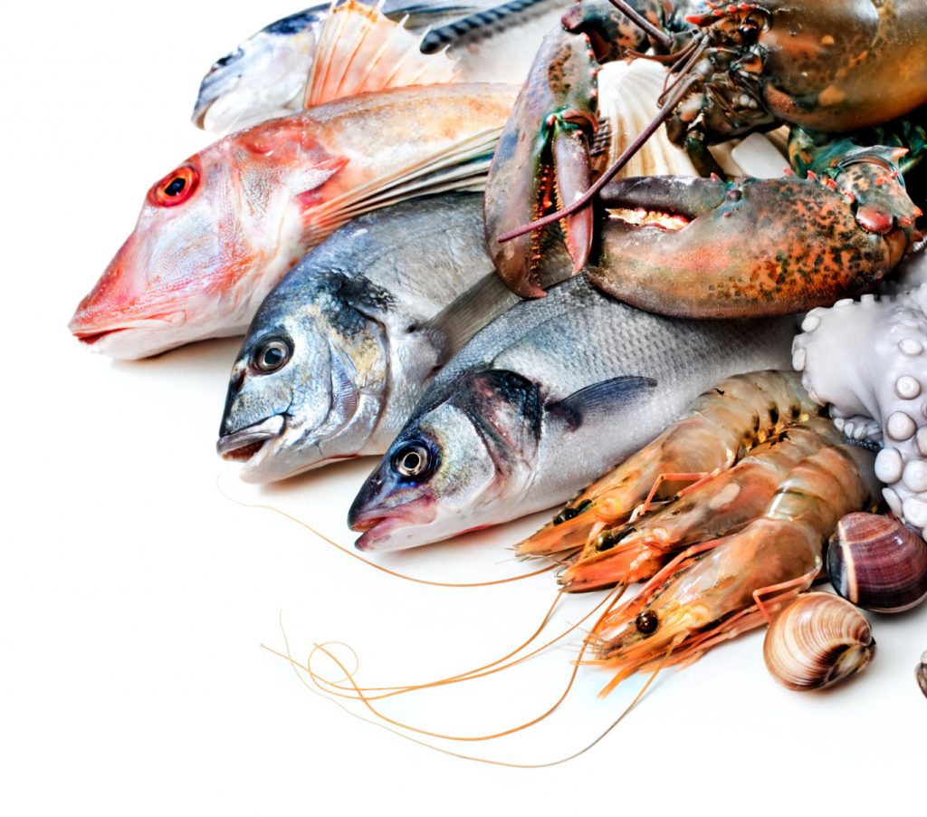 seafood-food-fish-sea-ocean-wallpaper – Long Seng