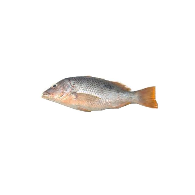 JENAHAK (WHOLE) / KG – Long Seng