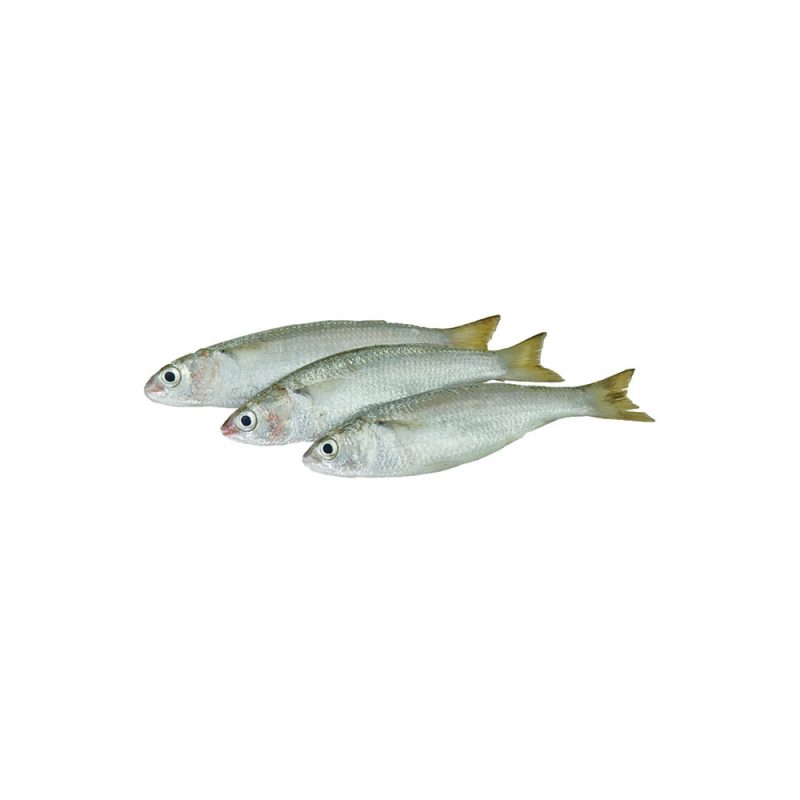 MABONG L / KG – Long Seng